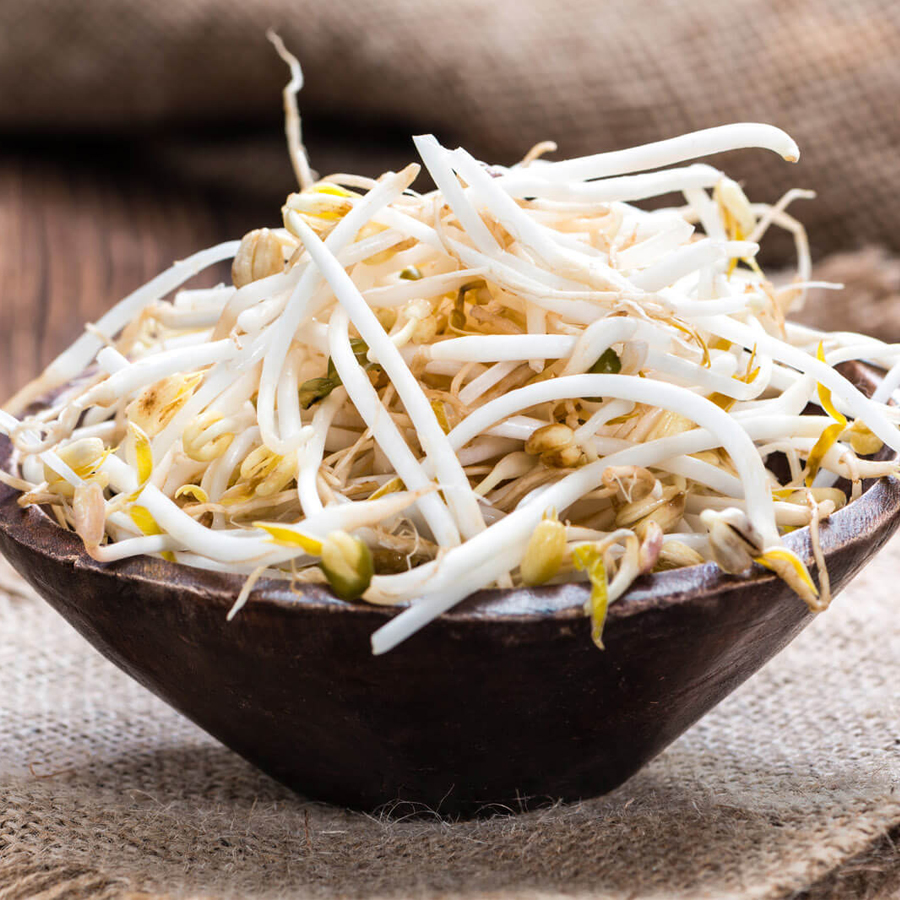 Seminte pentru germinat Fasole Mung Mung Bean