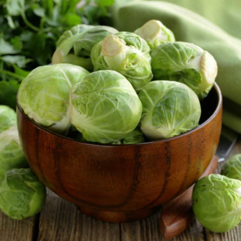 Seminte de Varza de Bruxelles Brussels Sprouts Groninger