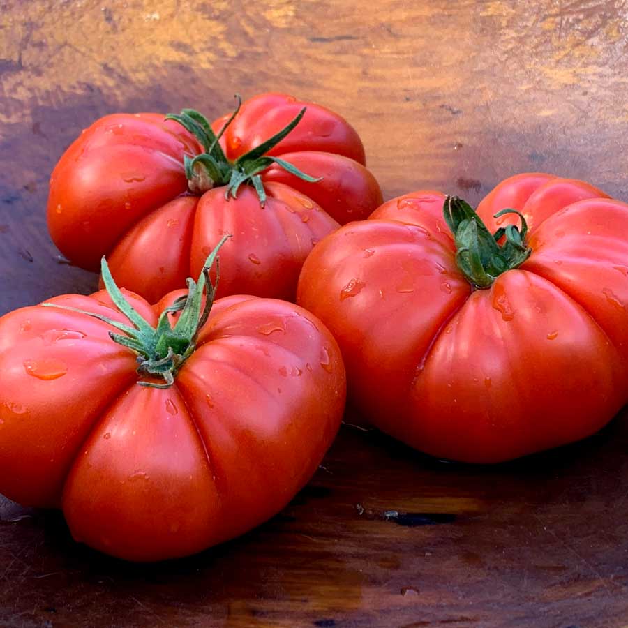 Seminte de Rosii Beef Tomato Marmande VR - SeminteFlori.com