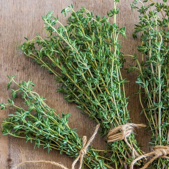 Seminte de Cimbru German Winter Thyme - Thymus Vulgaris