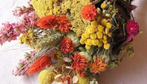 Seminte de flori, legume si plante aromatice la cele mai bune preturi ...