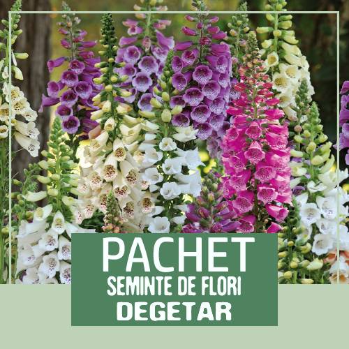 Pachet seminte de Degetar 3 soiuri (6 plicuri)
